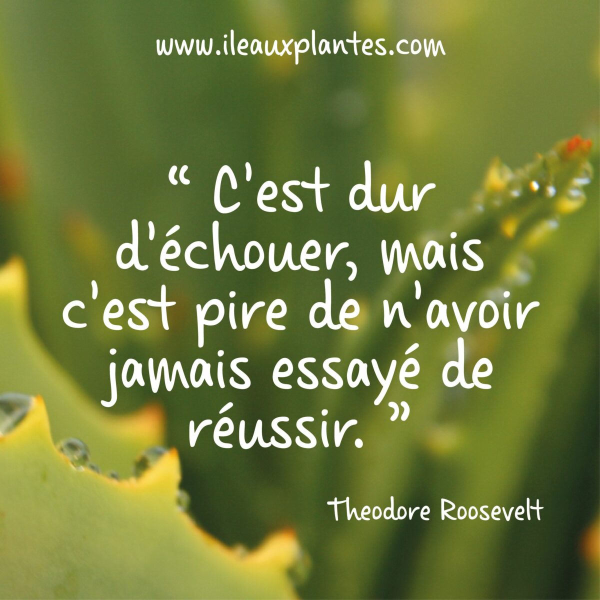 Top 15 Pensée Positive Citation (Photos) - Quotes.tn : Citations ...